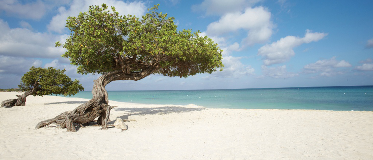 Divi Aruba | Caraibi All Inclusive | Gastaldi Holidays