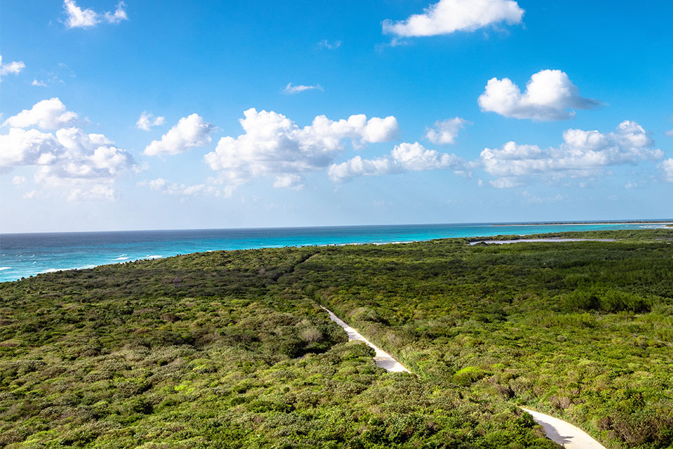 Isole Messico, le più belle da visitare | Gastaldi Holidays
